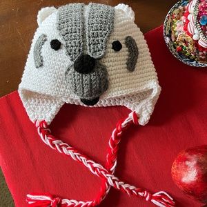 Handmade Accessories Crochet Bucky Badger Beanie Hat Poshmark
